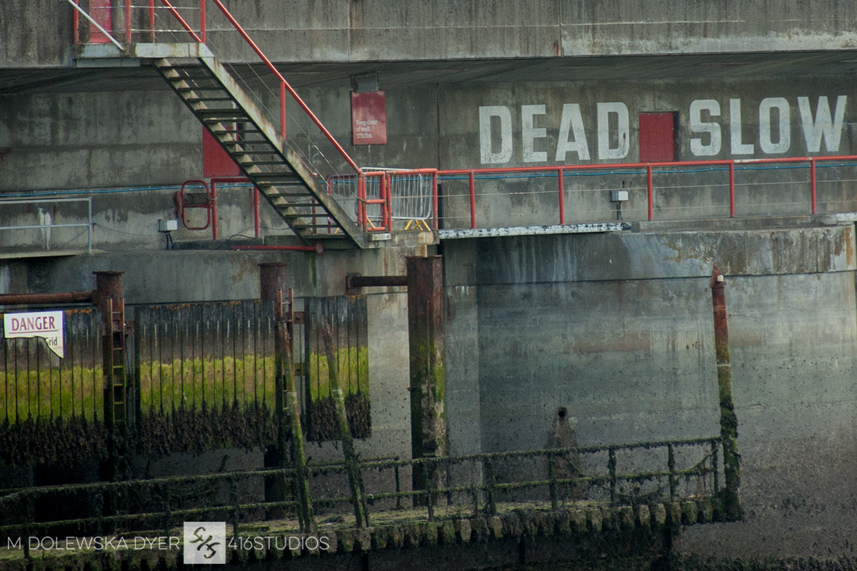 500pxGPW15-dead-slow - 416 Studios
