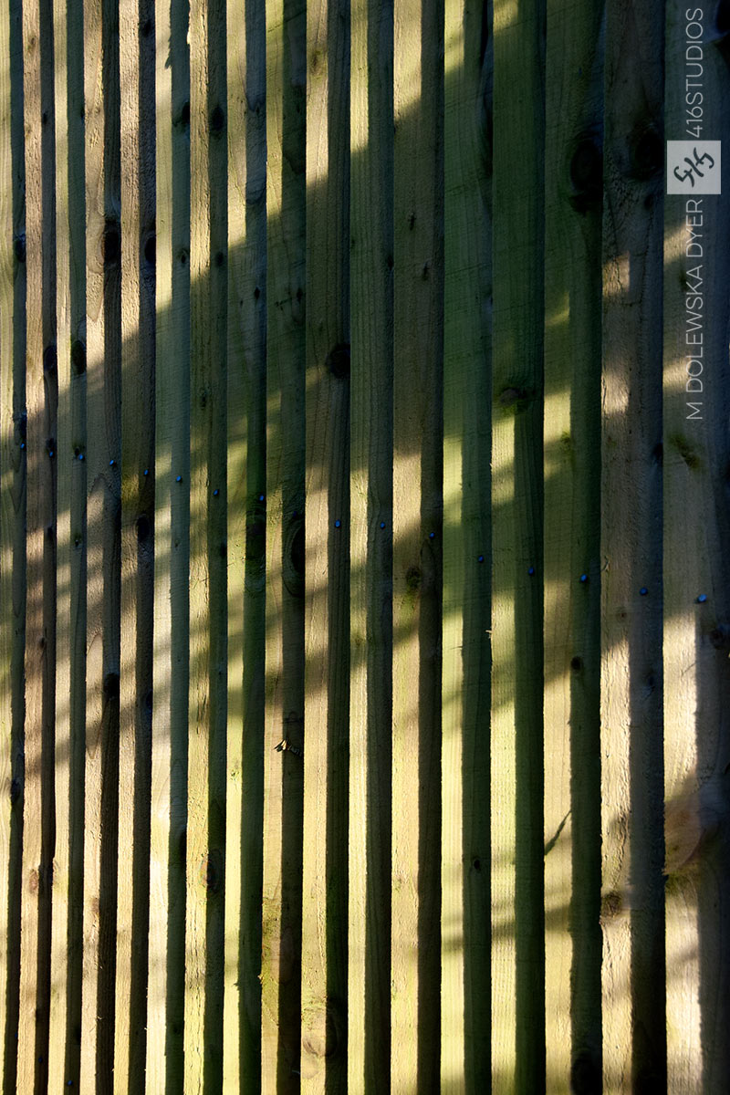 week-40-abstract-green-shadows - 416 Studios